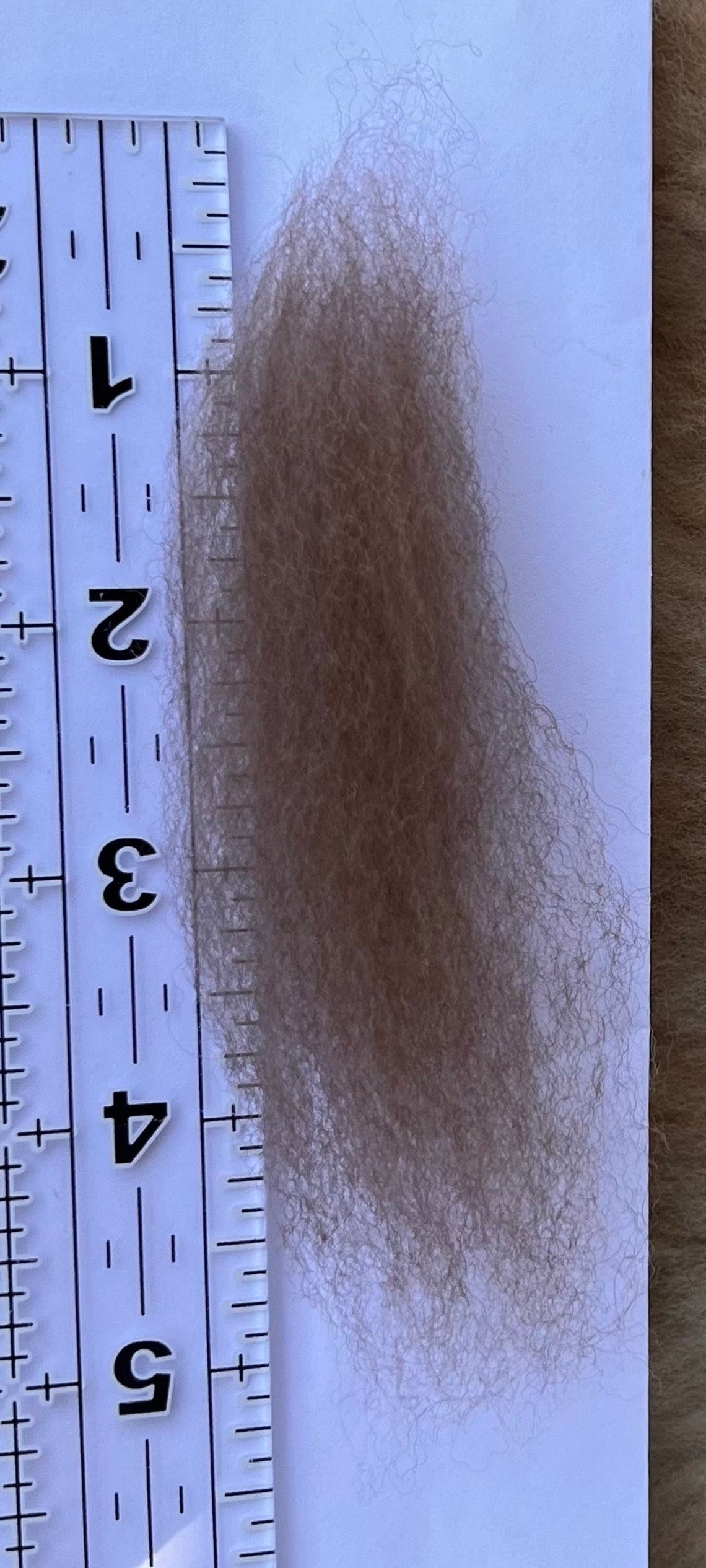 Moorit Rambley Wool Top: Undyed Combed Fiber for Spinning & Felting ...