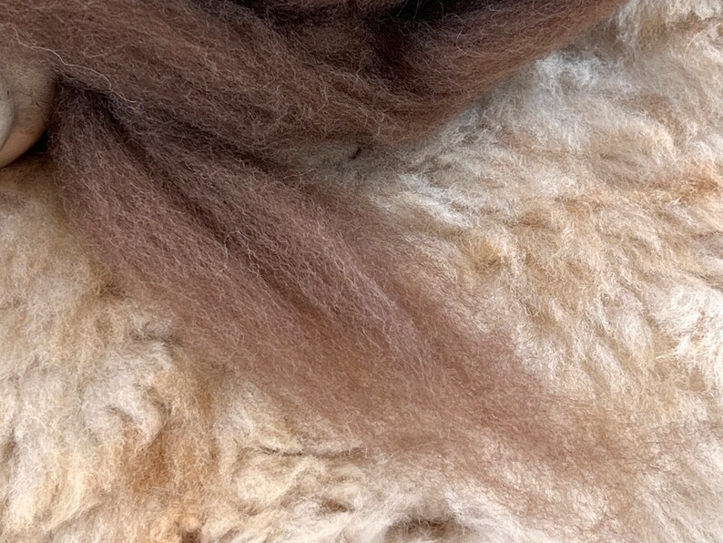 Moorit Rambley Wool Top: Undyed Combed Fiber for Spinning & Felting ...