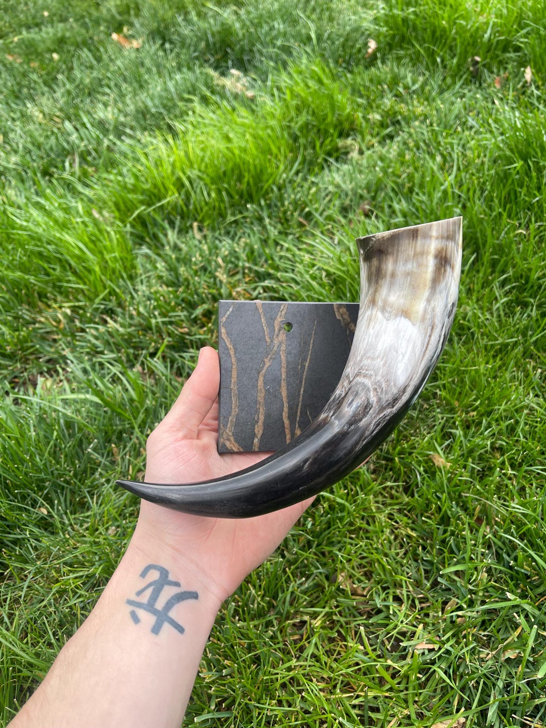 Cow Horn Wall Mount/table Display - Etsy