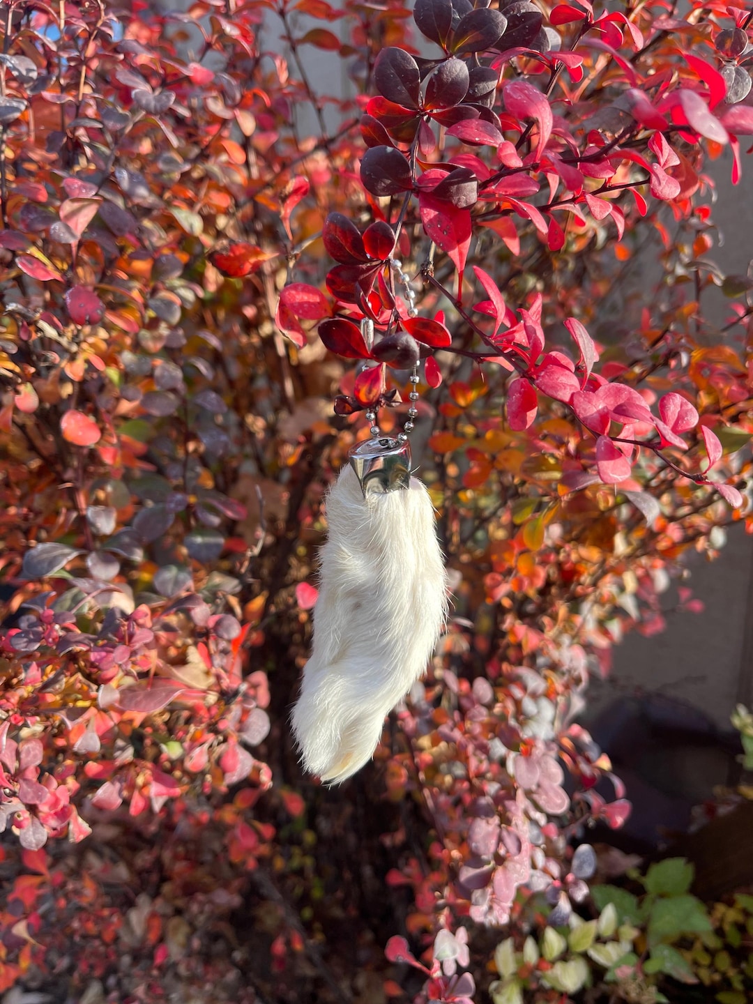 Rabbits Foot Key Chains - Etsy