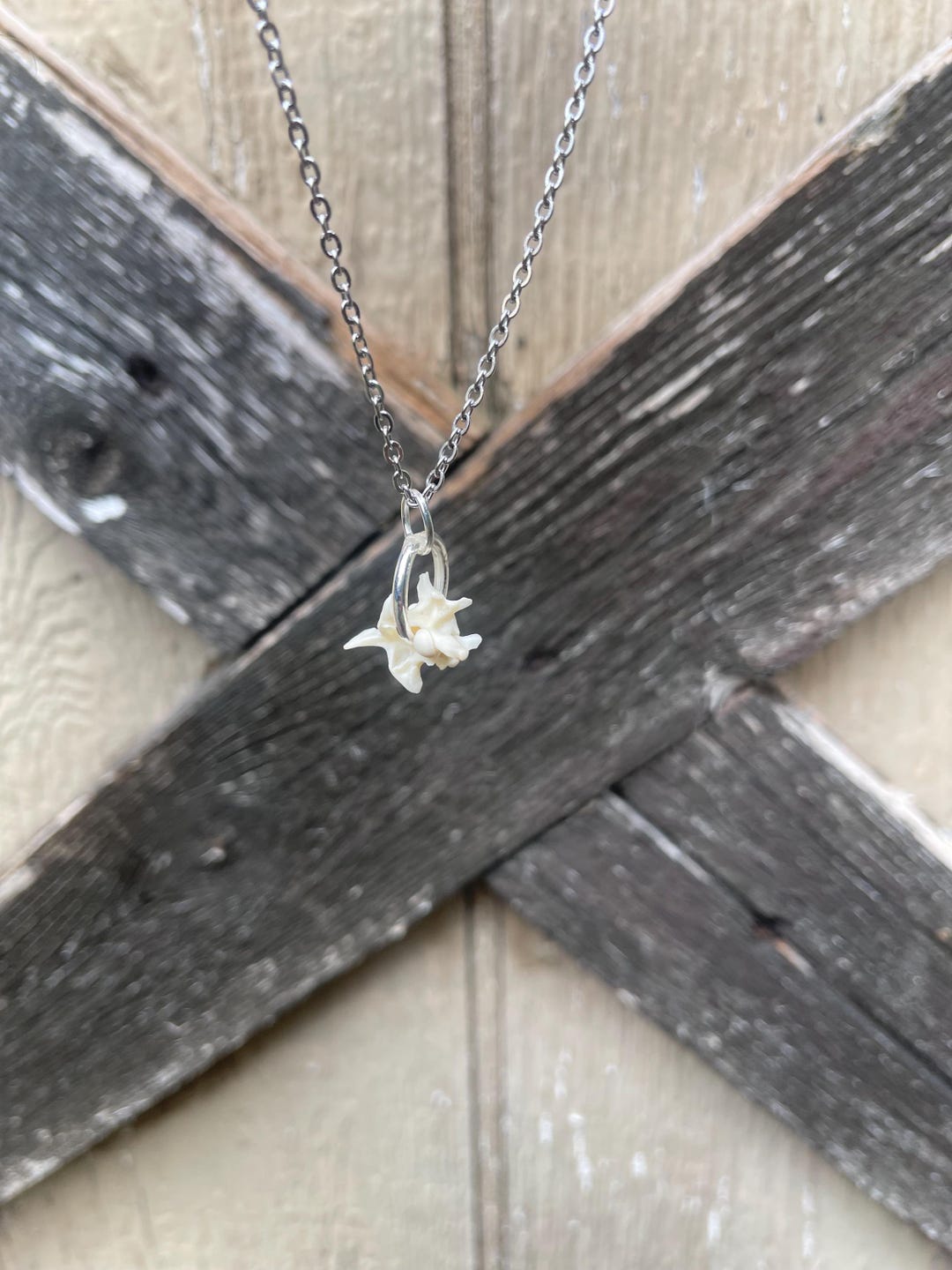 Real Snake Vertebrae Necklaces - Etsy