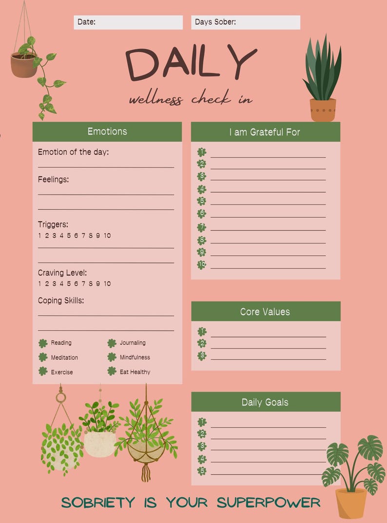 Daily Sobriety Check In - Etsy