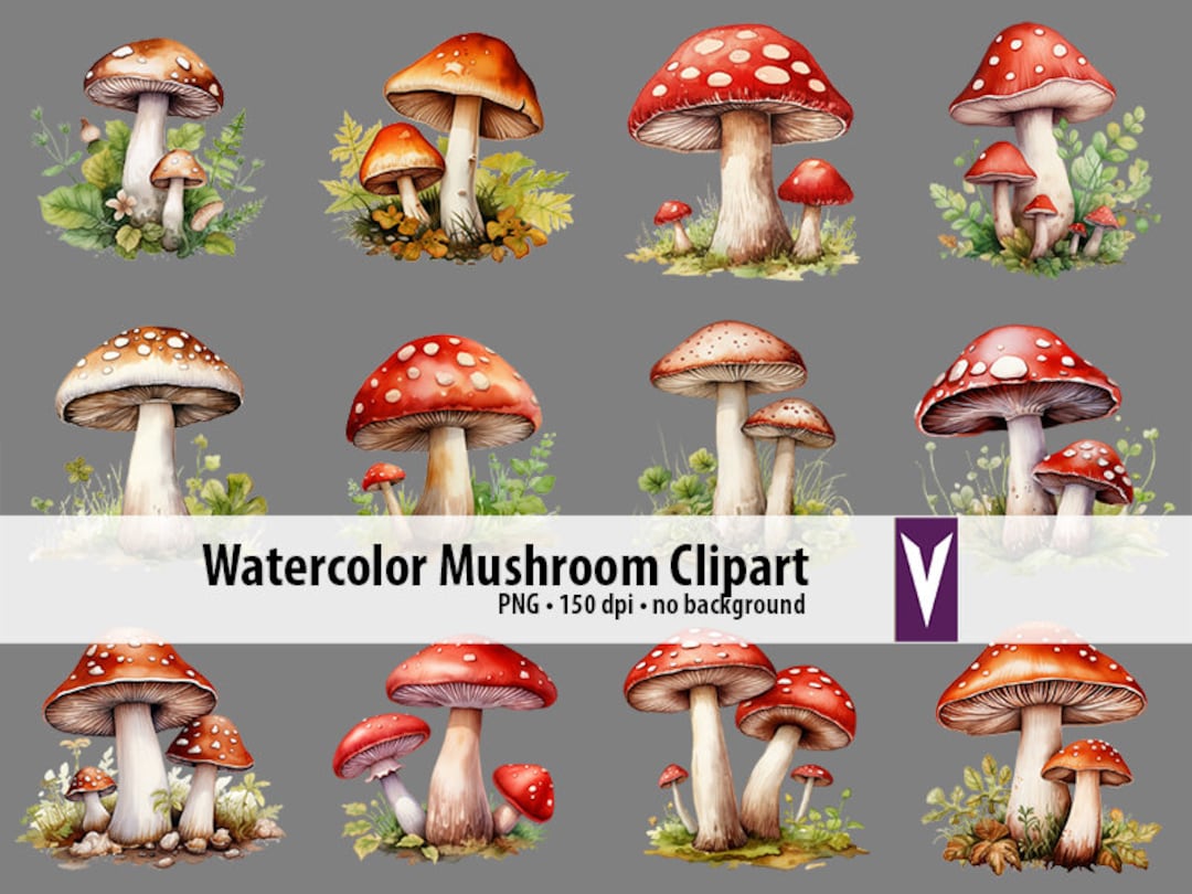 Printable Watercolor Mushroom Clipart - PNG - Etsy