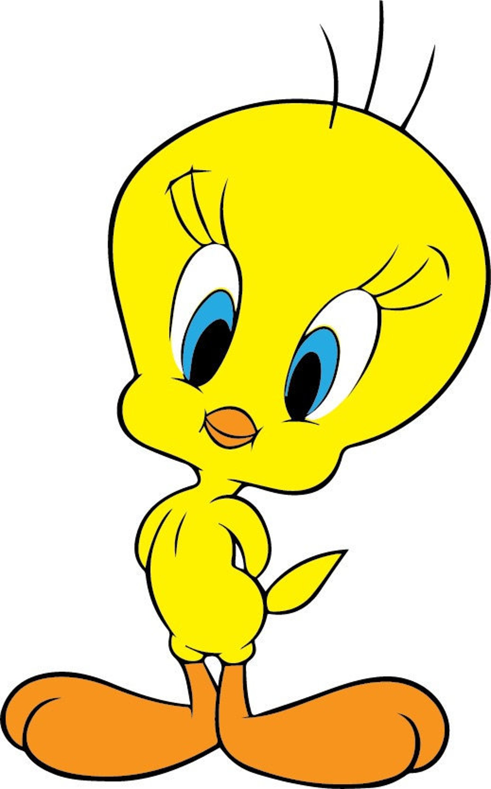 Tweety Bird SVG | Etsy