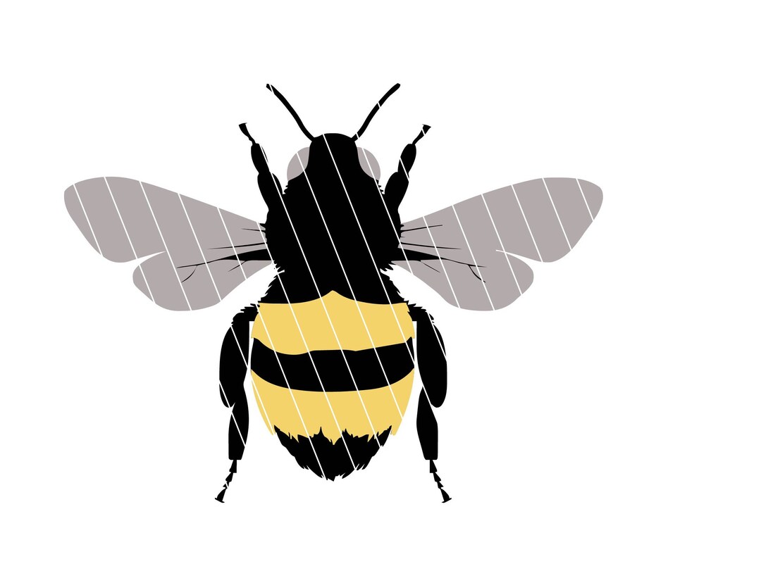 Bee SVG - Layered Cut File - Etsy
