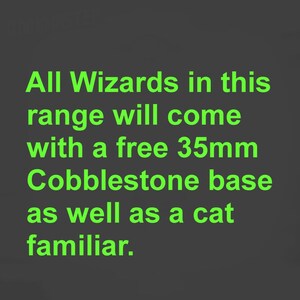 Wizard Miniature: Infernal Dynasty, Goon Master Games, 3D Printed ...