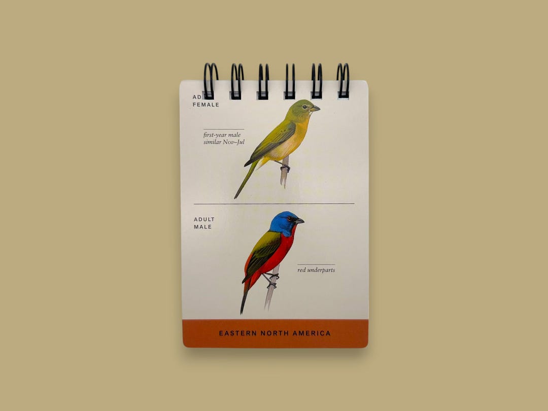 Birding Spiral Notebook - Painted Bunting - Etsy