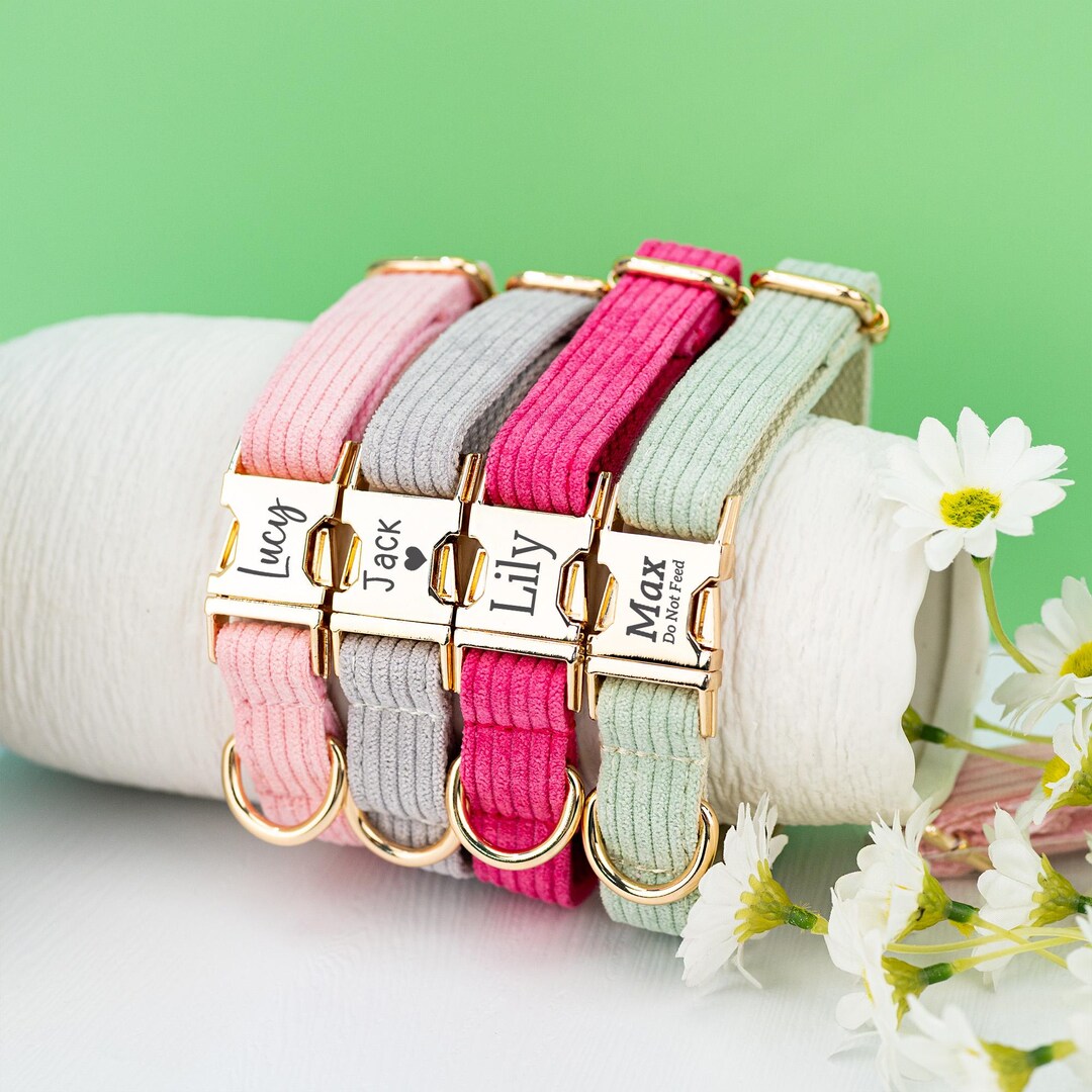 Engraved Pet Name Plate Metal Buckle,multiple Colour Velvet Personalise ...