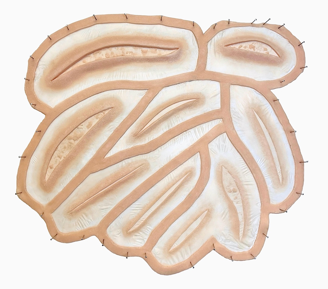 9 Piece Cut Prosthetic / Silicone / Latex Free/ Halloween Prosthetic ...