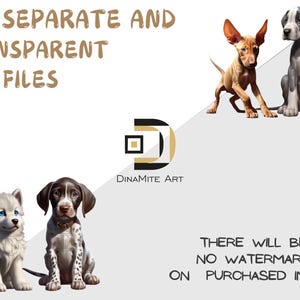 Cute Puppy Breeds PNG Bundle, Purebred Puppies Clipart Image Files, Pet ...