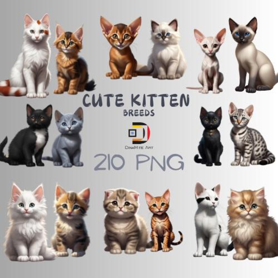 Cute Kitten Breeds Clipart Bundle 210 PNG Digital Download Cat Graphics ...