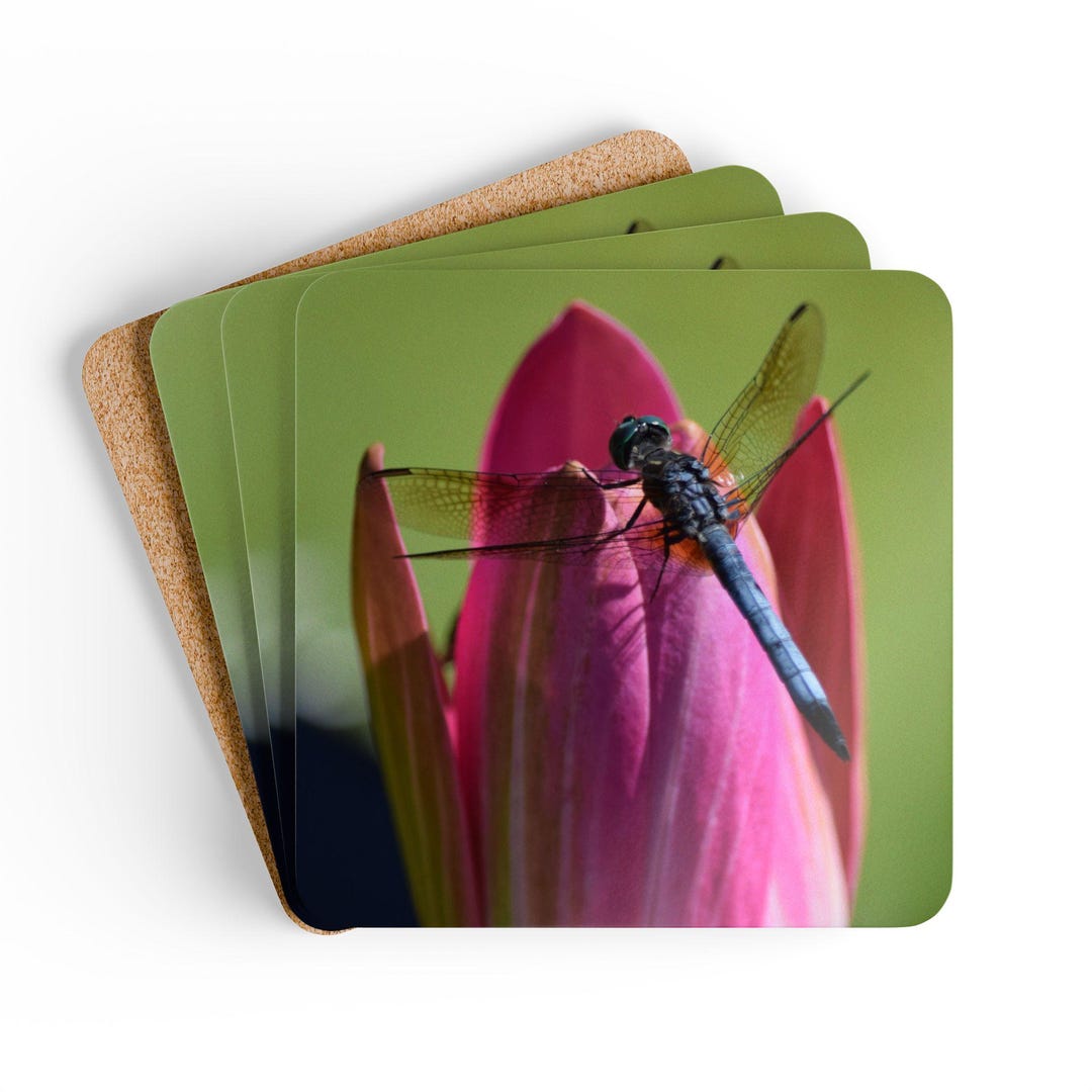 Dragonfly Water Lily Coaster Set – Floral Drink Coasters - Etsy