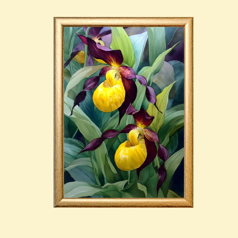 Rare Wall Orchid - Etsy