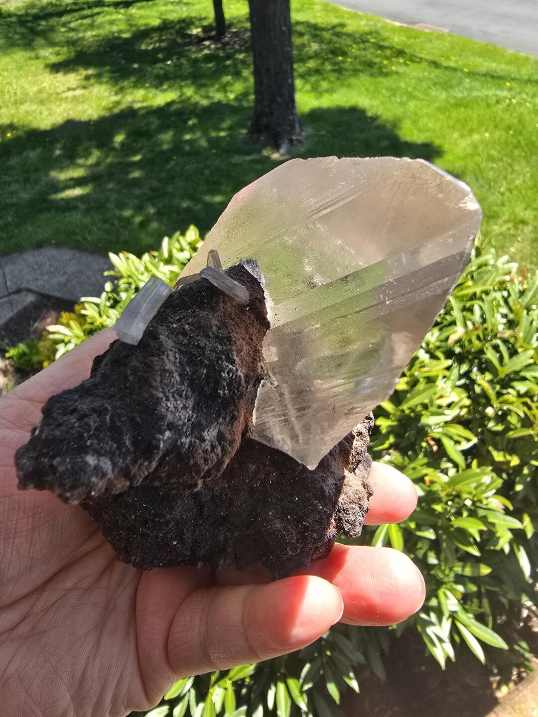 Naica Selenite – Rare Crystal From Mexico | High Vibe, Cleansing ...