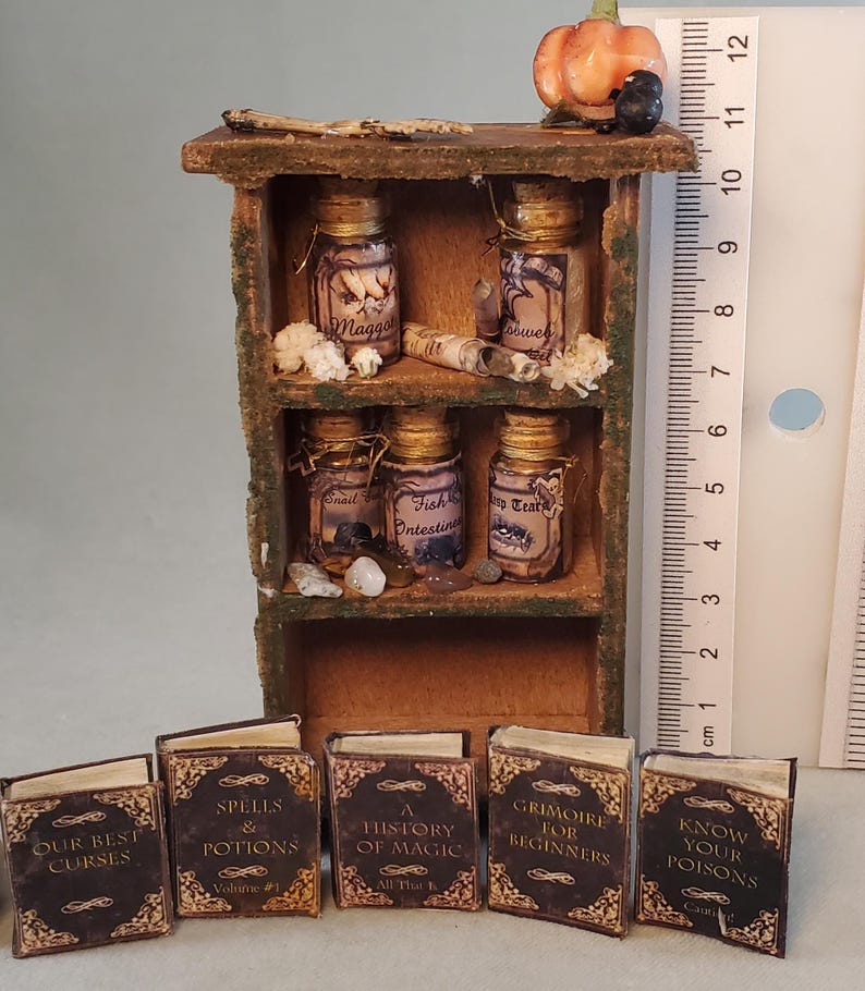 Miniature Haunted Bookcase - Etsy