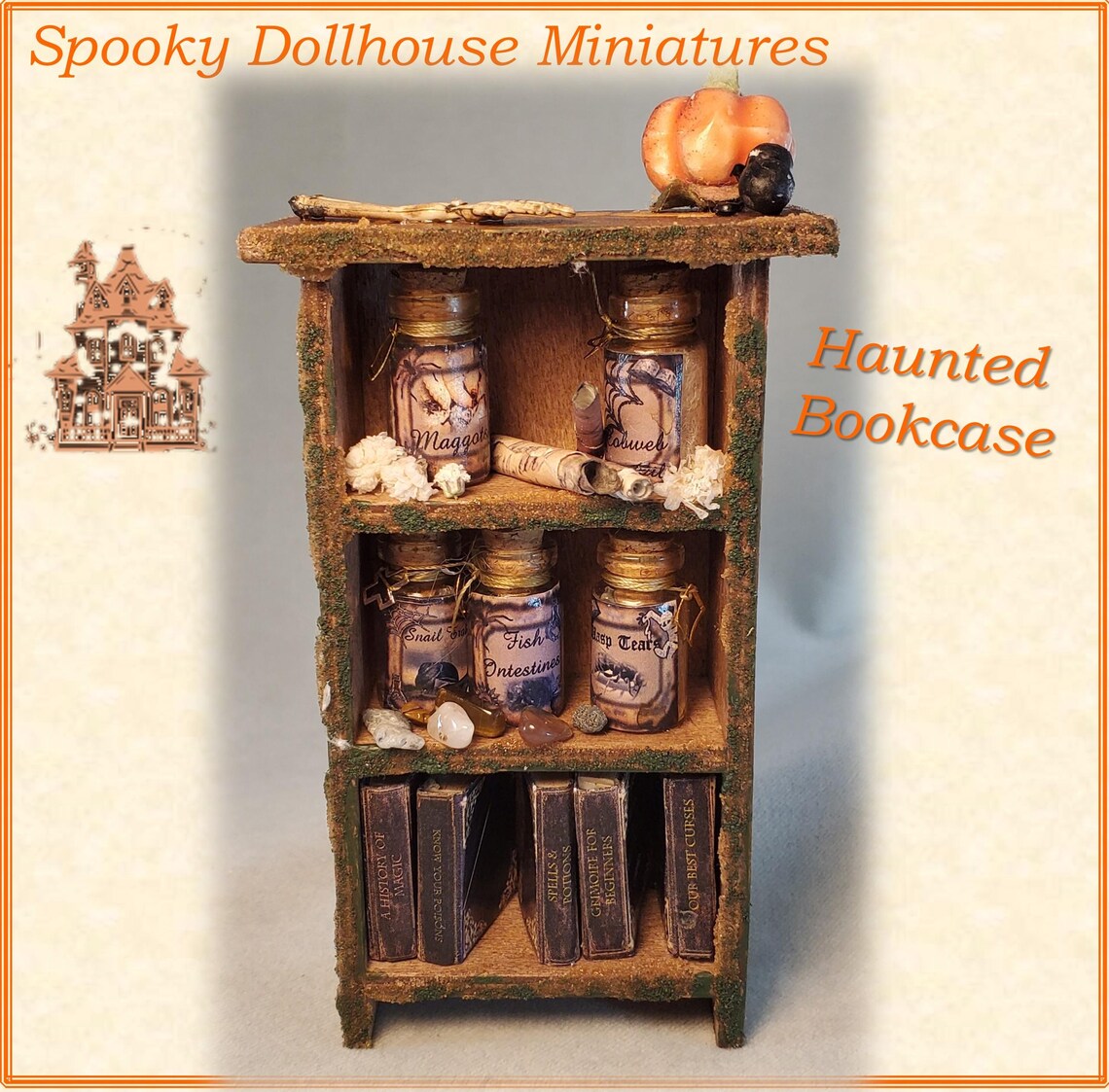 Miniature Haunted Bookcase - Etsy