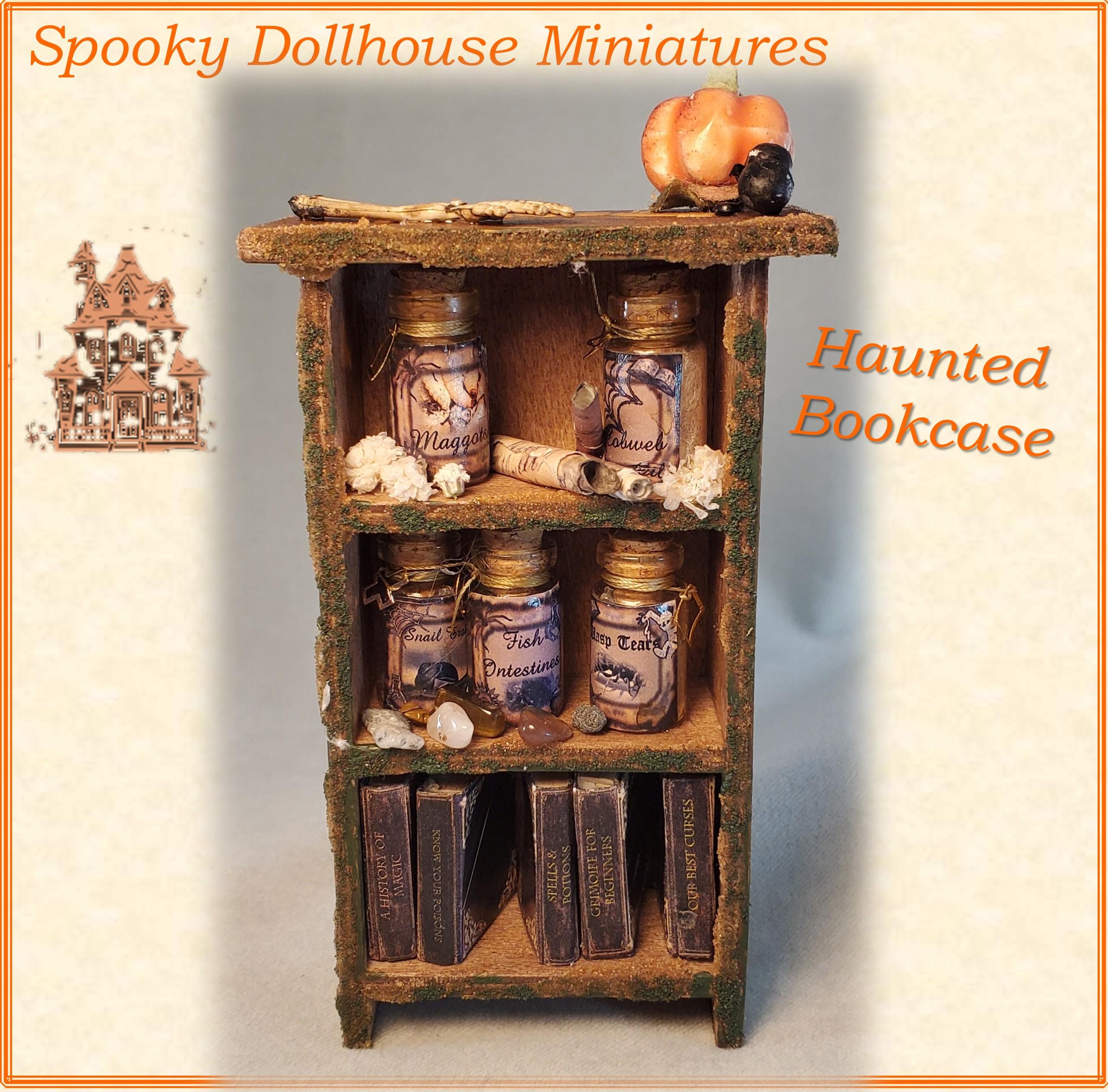 Miniature Haunted Bookcase - Etsy