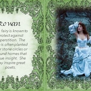 Tree Fairies Miniature Encyclopedia of Fairies Volume Six - Etsy