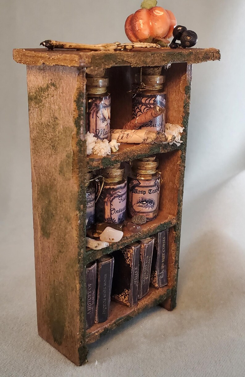 Miniature Haunted Bookcase - Etsy
