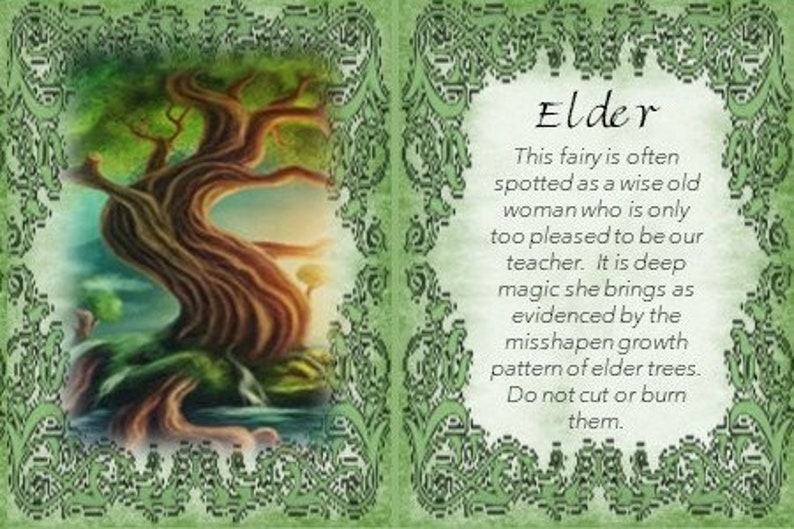 Tree Fairies Miniature Encyclopedia of Fairies Volume Six - Etsy