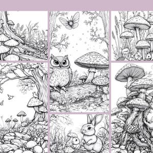 Fantasy Mushrooms Coloring Pages, Stress Relief Nature Coloring ...