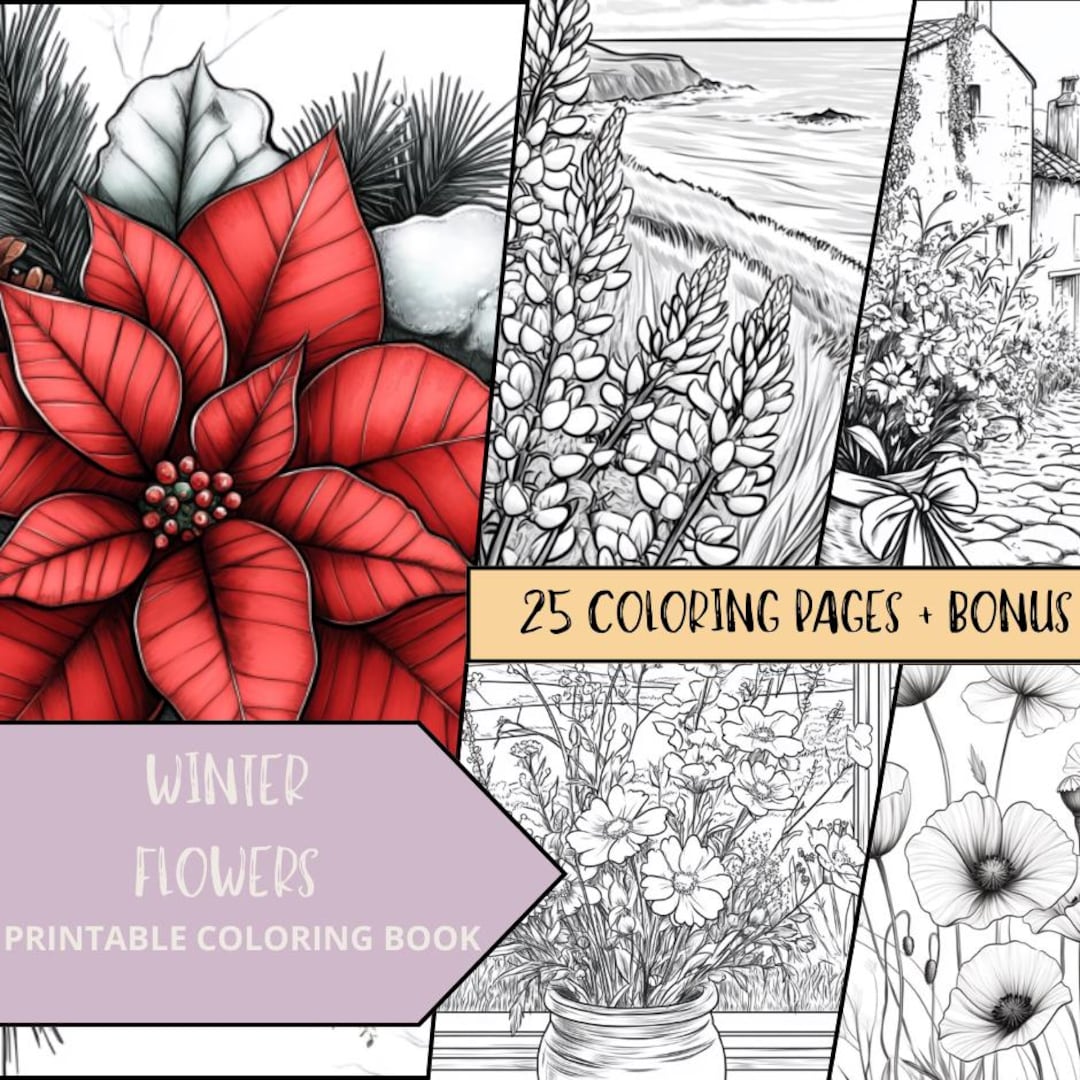 Winter Flower Coloring Pages, Easy Coloring Sheet, Stress Relief ...