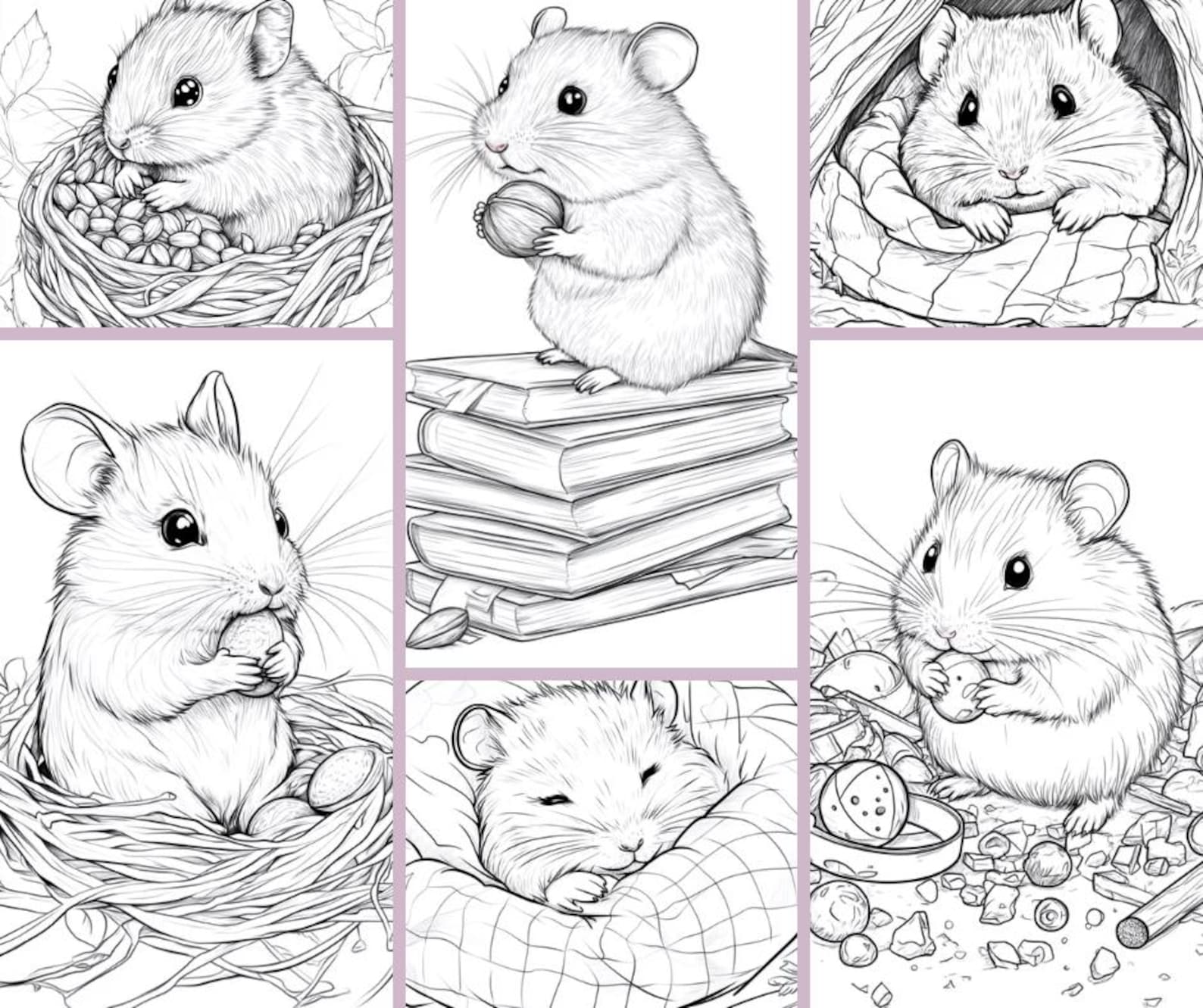 Hamster Coloring Page, Animal Coloring Pages, Printable Digital ...