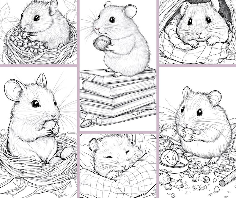 Hamster Coloring Page, Animal Coloring Pages, Printable Digital ...