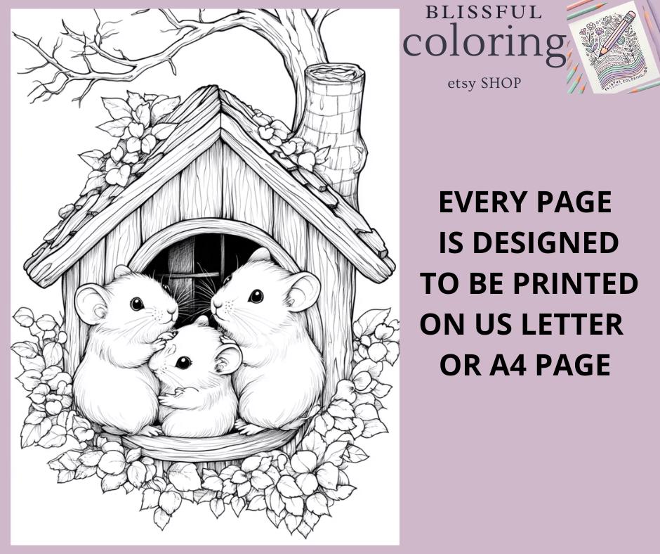 Hamster Coloring Page, Animal Coloring Pages, Printable Digital ...