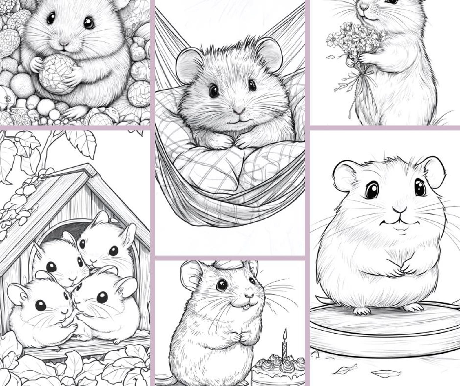 Hamster Coloring Page, Animal Coloring Pages, Printable Digital ...