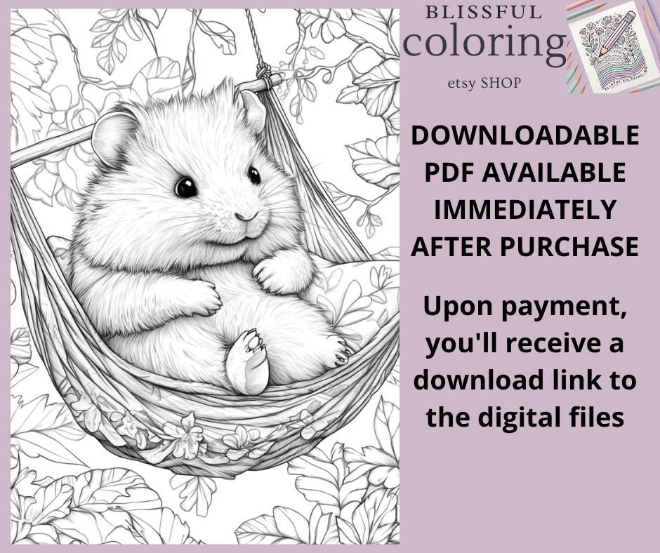 Hamster Coloring Page, Animal Coloring Pages, Printable Digital ...