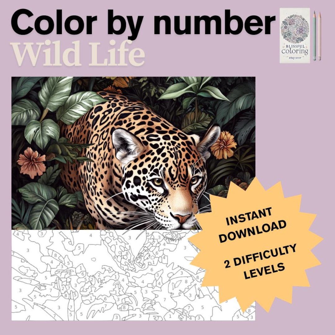 Animal Color by Number Download, Animal Coloring Page, Stress Reduction ...