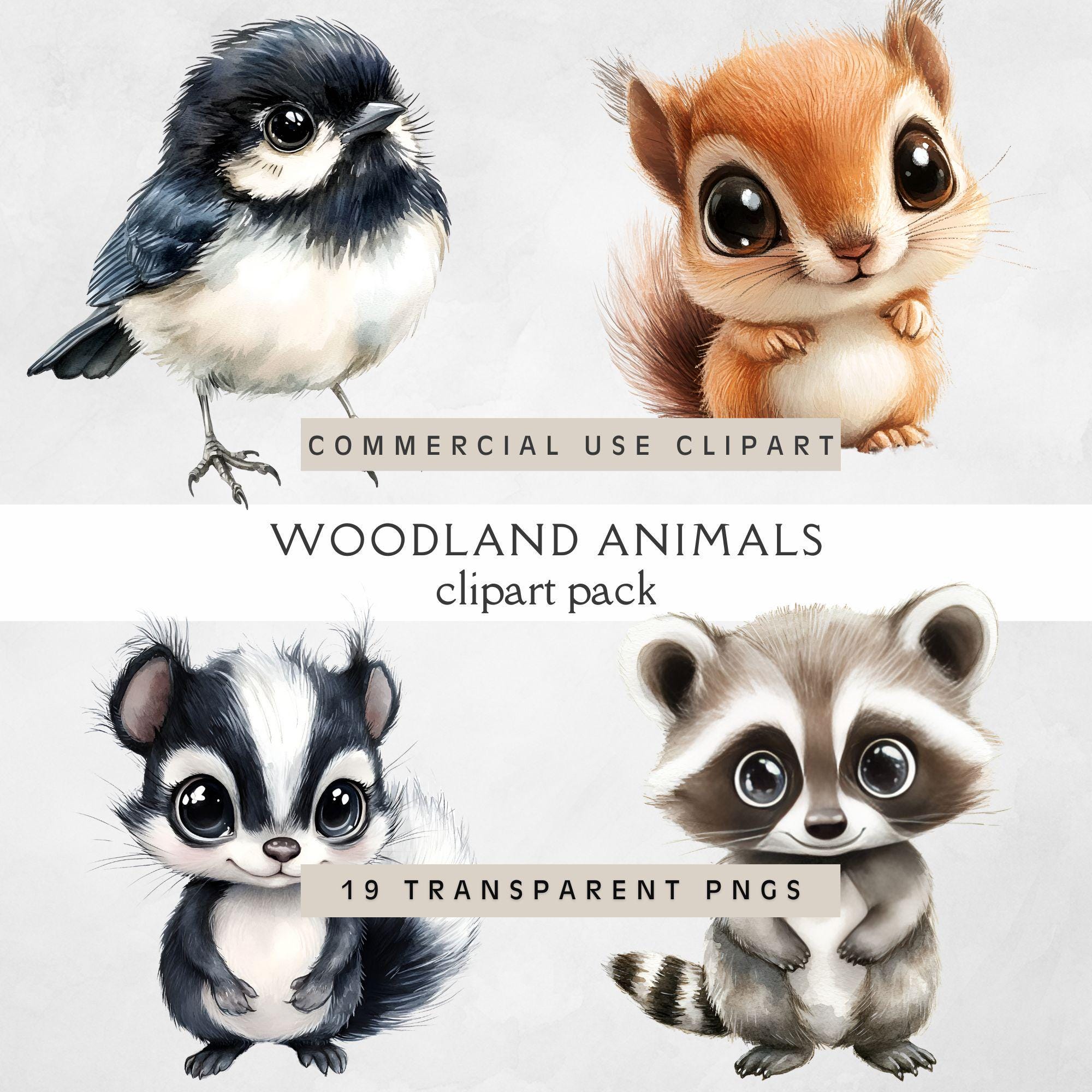 Adorable Woodland Animal Clipart Pack - Instant Download - Etsy