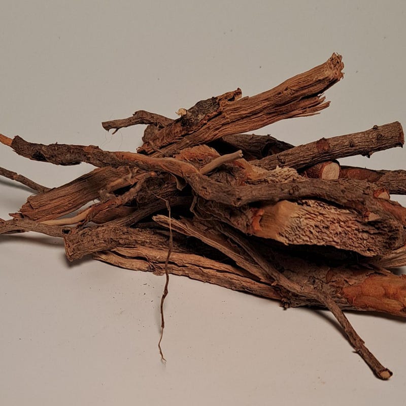 Sassafras - Etsy