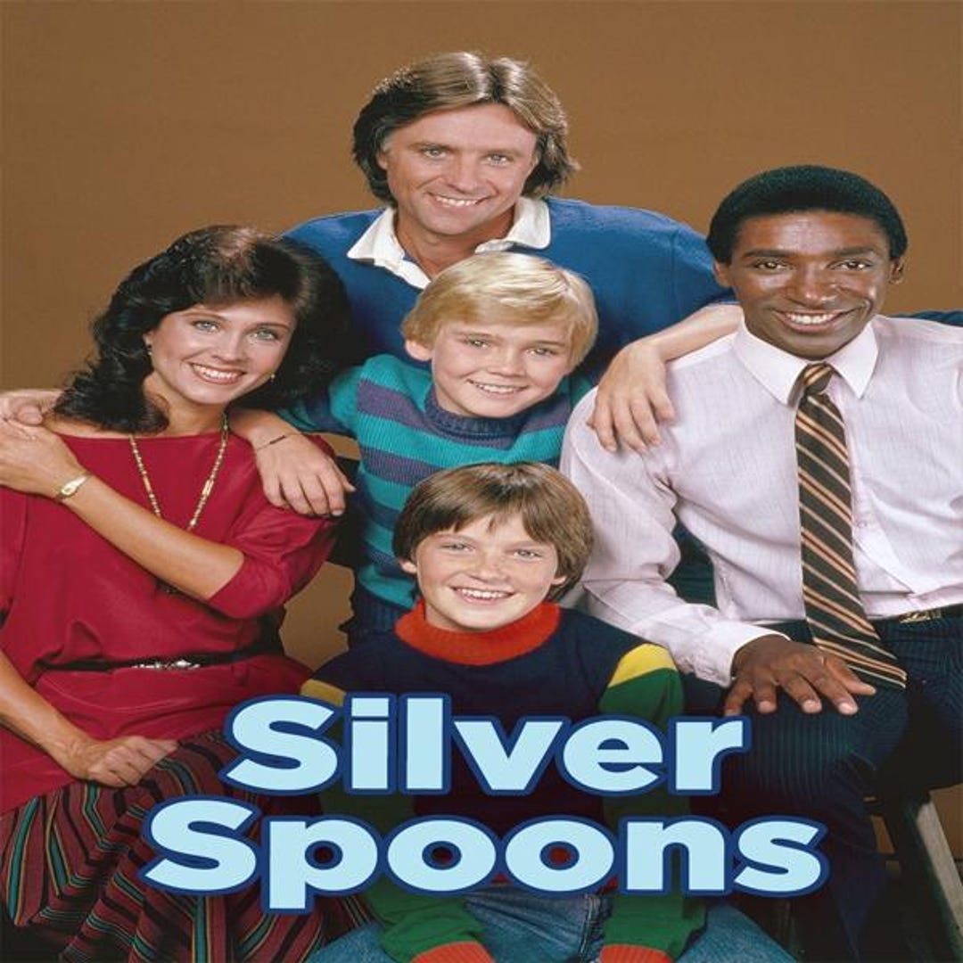 Silver Spoons 1982 - Etsy
