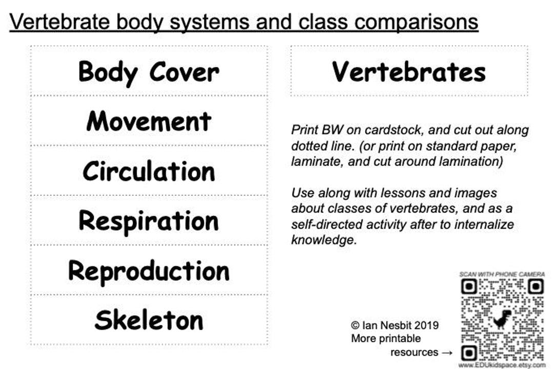 Vertebrate Classes and Body Systems Matching Cards Fish Amphibians ...