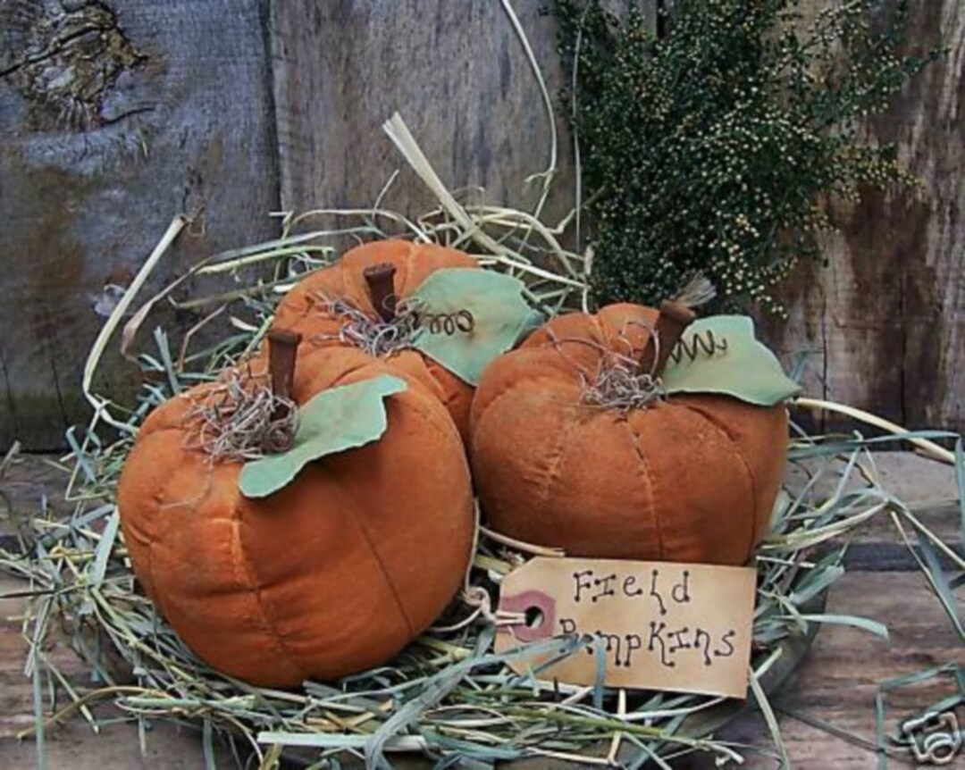 Primitive Pattern FIELD PUMPKINS Instant Download/primitive Fall ...