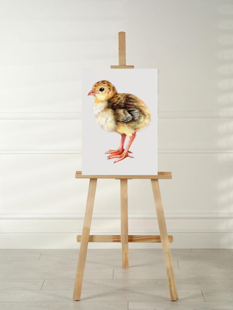 Baby Chick Poster | Adorable Nursery Wall Art | Cute Animal Print for ...