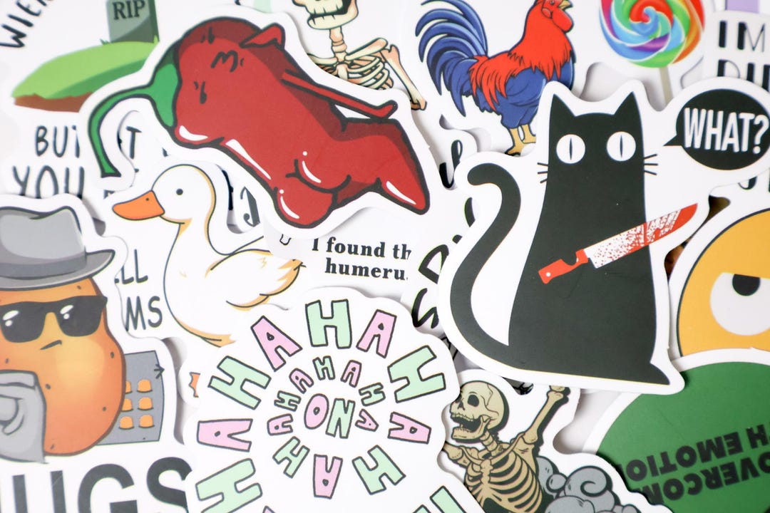 50PCS Snarky Meme Stickers Pack – Funny Sarcastic Quote Vinyl Decals ...