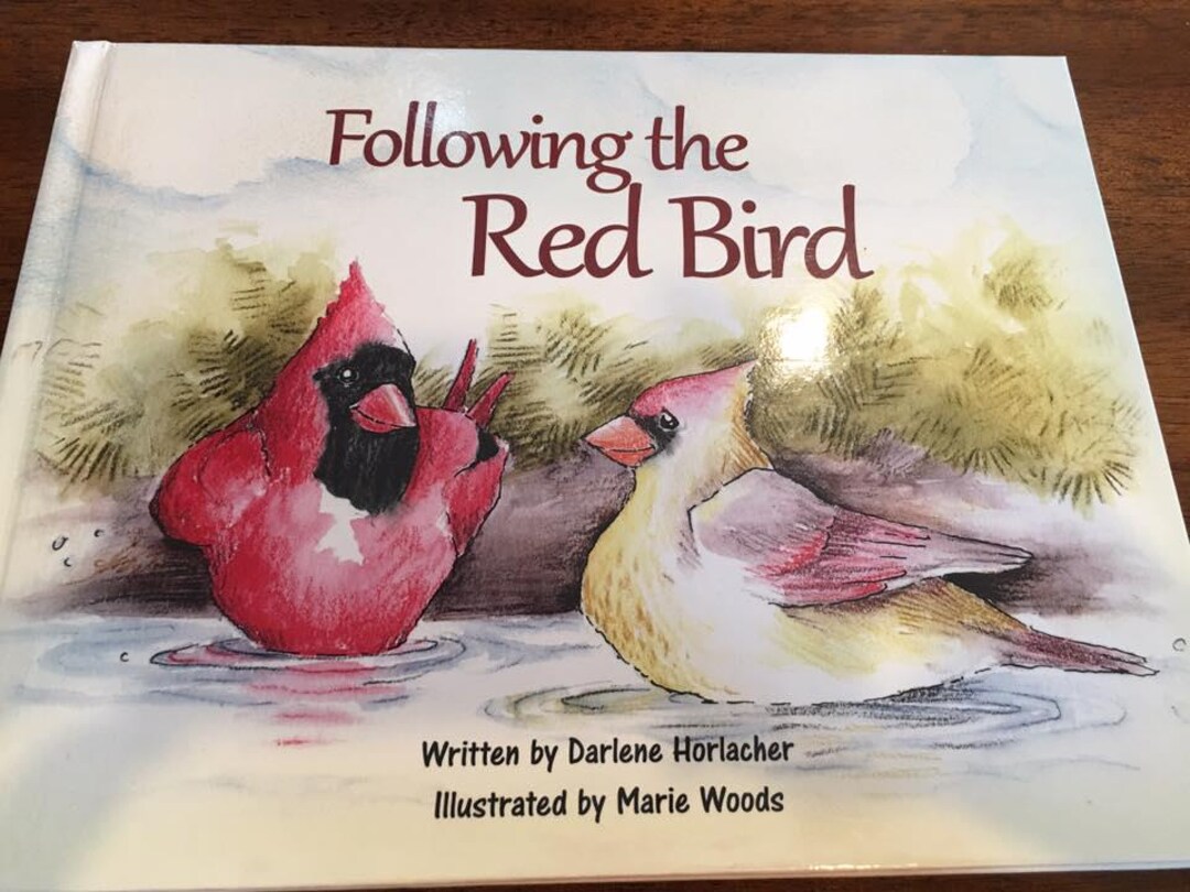 Large Picture Books for Children - Etsy