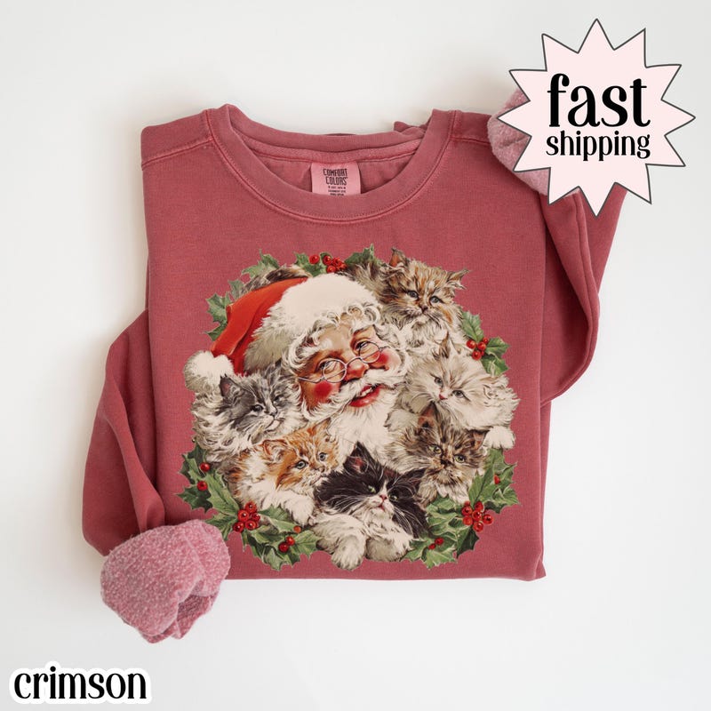 Santa With Cats Sweater - Etsy