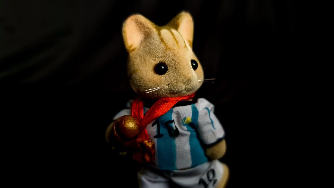 Lionel Messi- Sylvanian Tabby Cat Footballer - Etsy