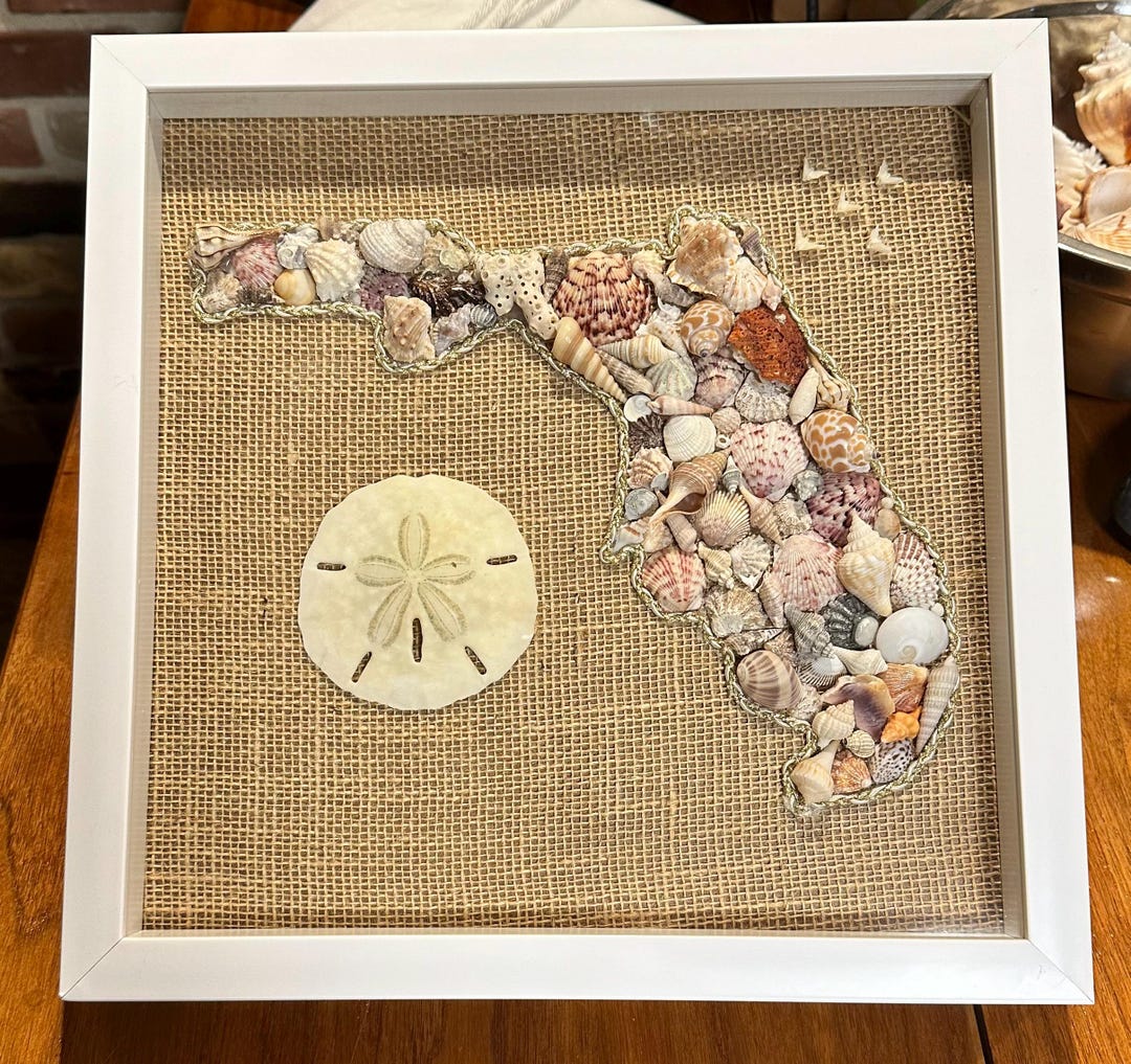Custom Sea Shell Art: Personalized Letters, Shapes & States Coastal ...