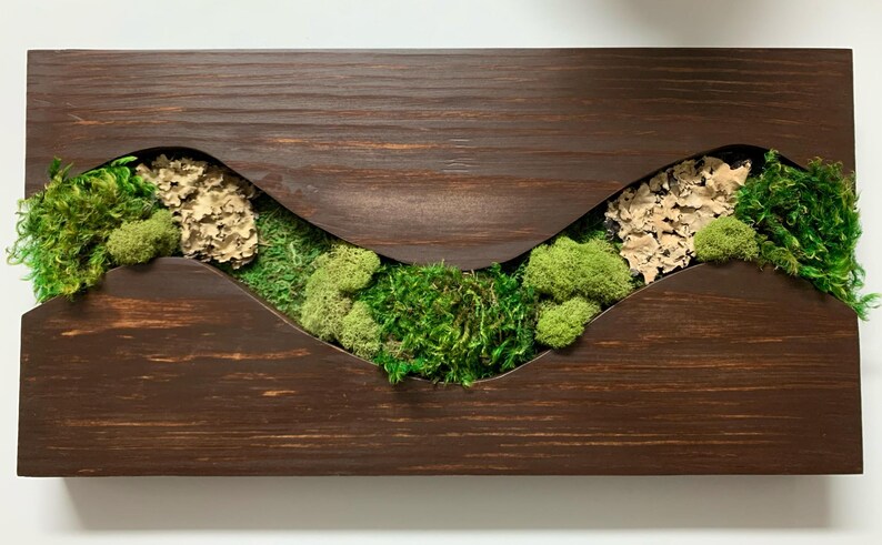 Preserve Moss Wall Decor - Etsy