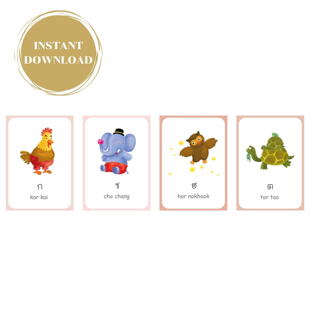 44 Thai Alphabets Flashcards, Thai Letters Flashcards, Learning, Thai ...