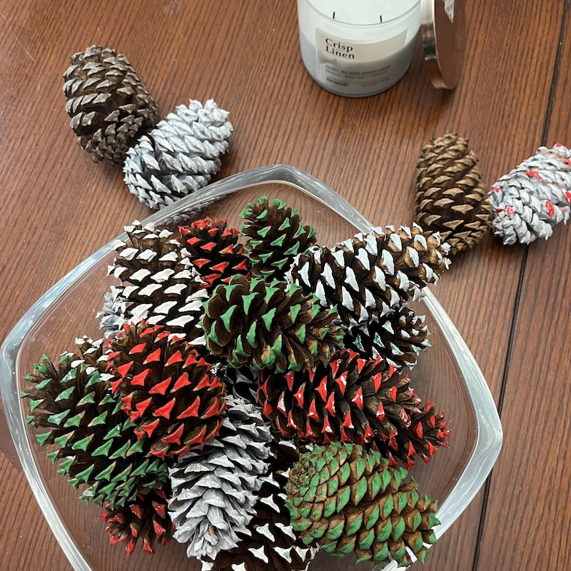 Painted Pine Cones - Etsy