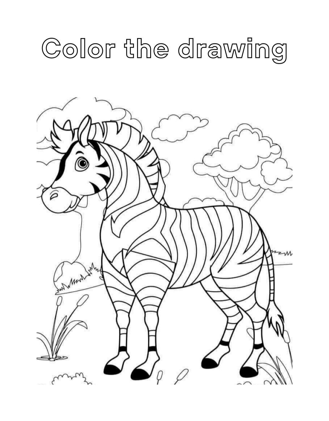 Animals Coloring Book for Kids - Etsy