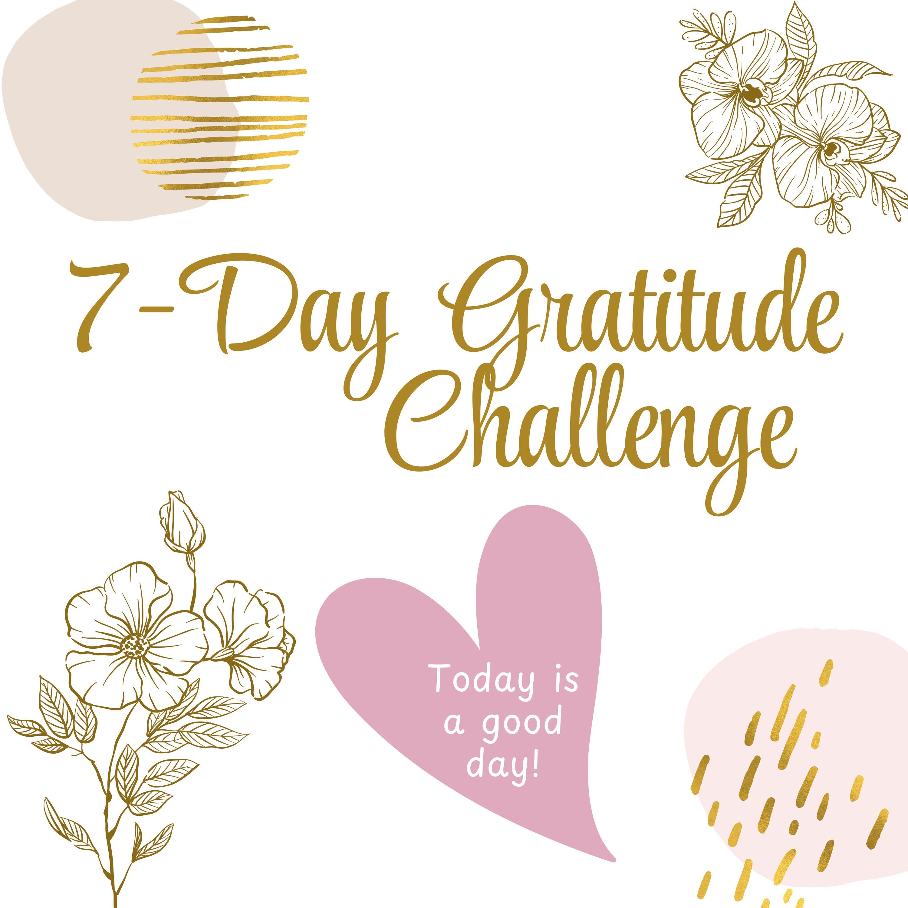 The 7-day Gratitude Challenge | Interactive PDF E-booklet | Daily ...