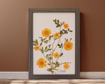 Handmade Pressed Flower Frame – Natural Home Decoration – Botanical Art ...