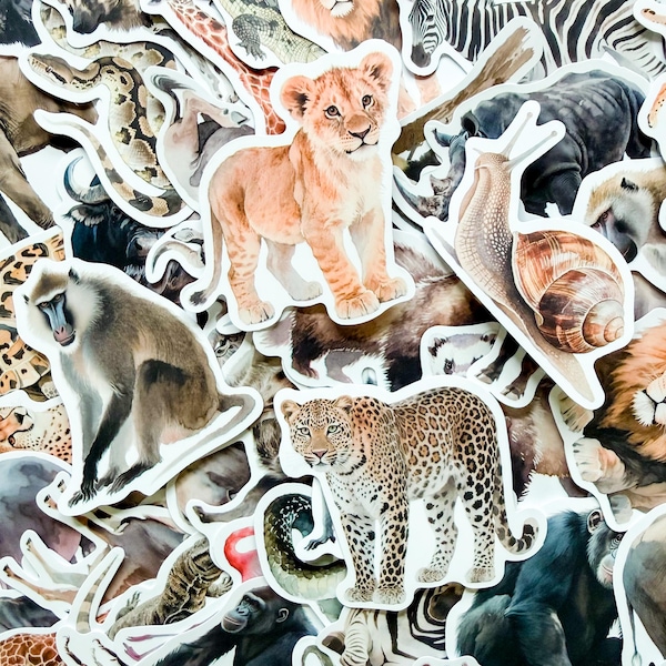 Nature Stickers - Etsy